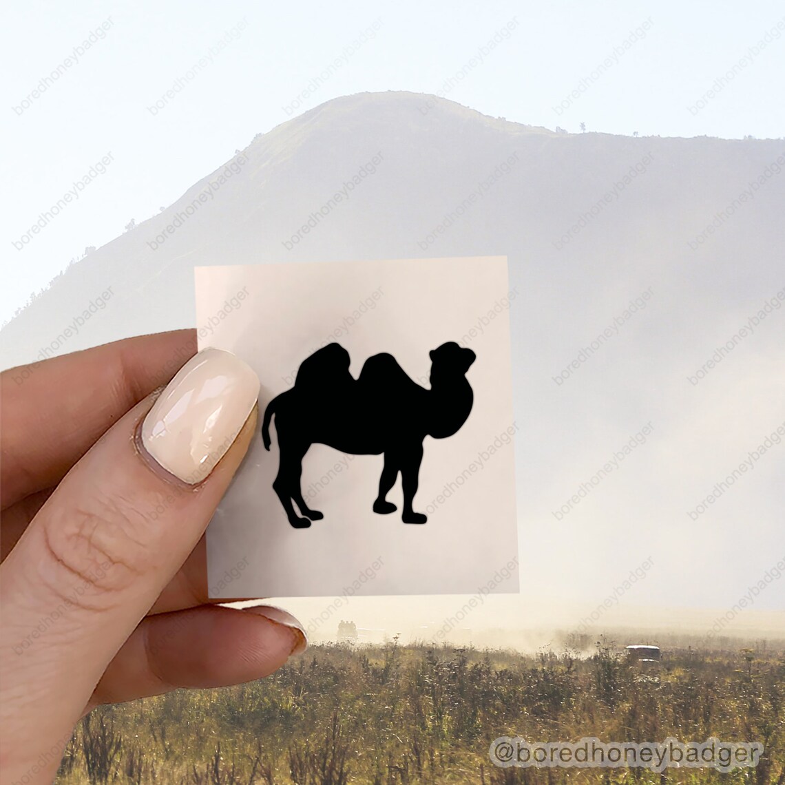 Camel Sahara Desert Easter Egg Decals Camel Stickers Fit for - Etsy