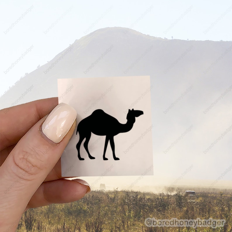 Camel Sahara Desert Easter Egg Decals Camel Stickers Fit for - Etsy