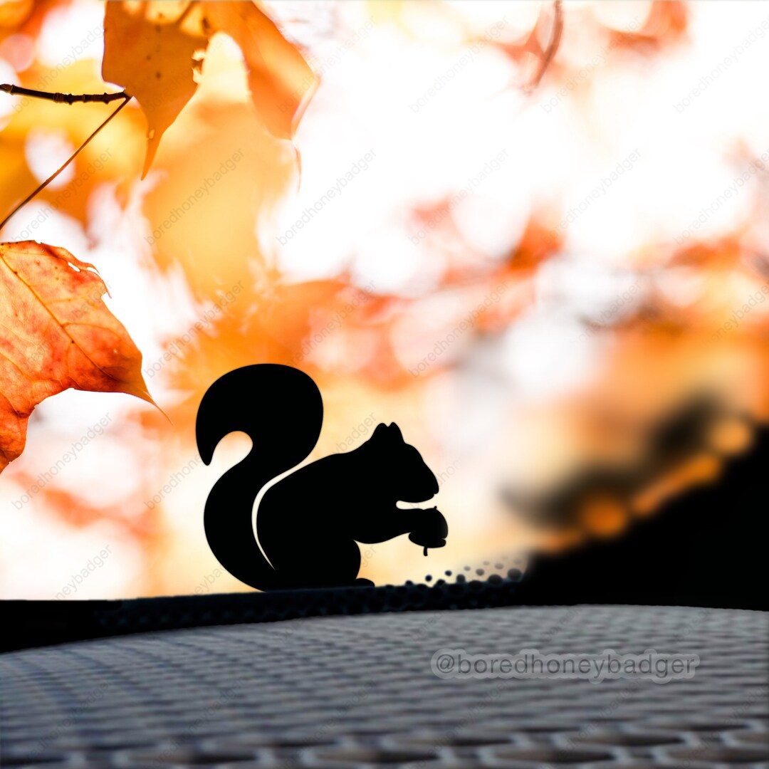 Squirrel With Acorn Easter Egg Decal Squirrel Stickers Fit for Jeep ...