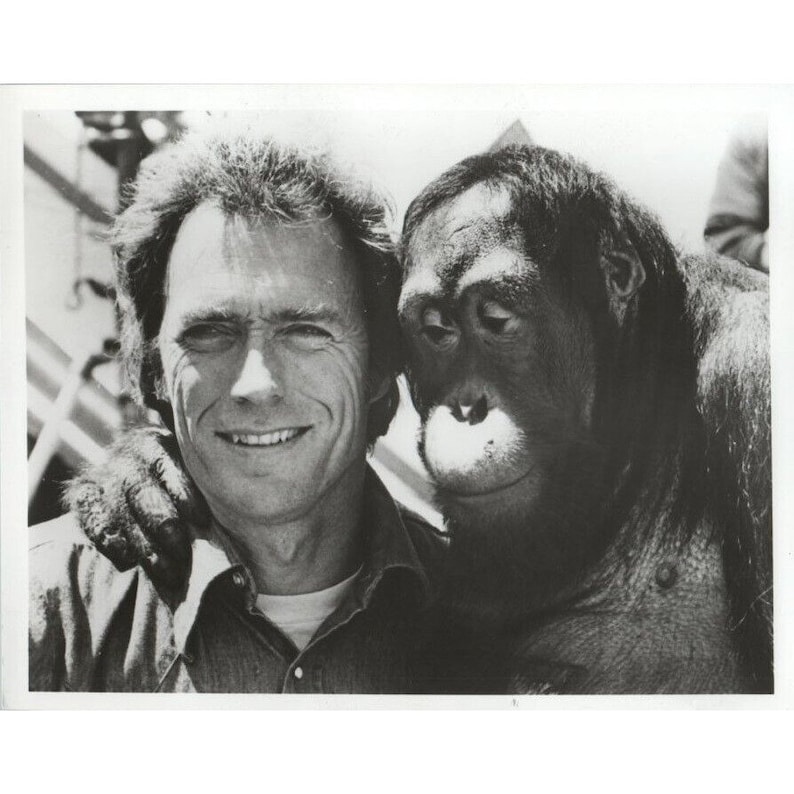 Clint Eastwood With Clyde in Every Which Way but Loose 8x10 Press Photo ...