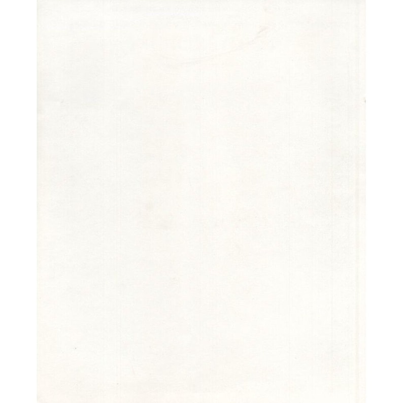 Clint Eastwood With Clyde in Every Which Way but Loose 8x10 Press Photo ...