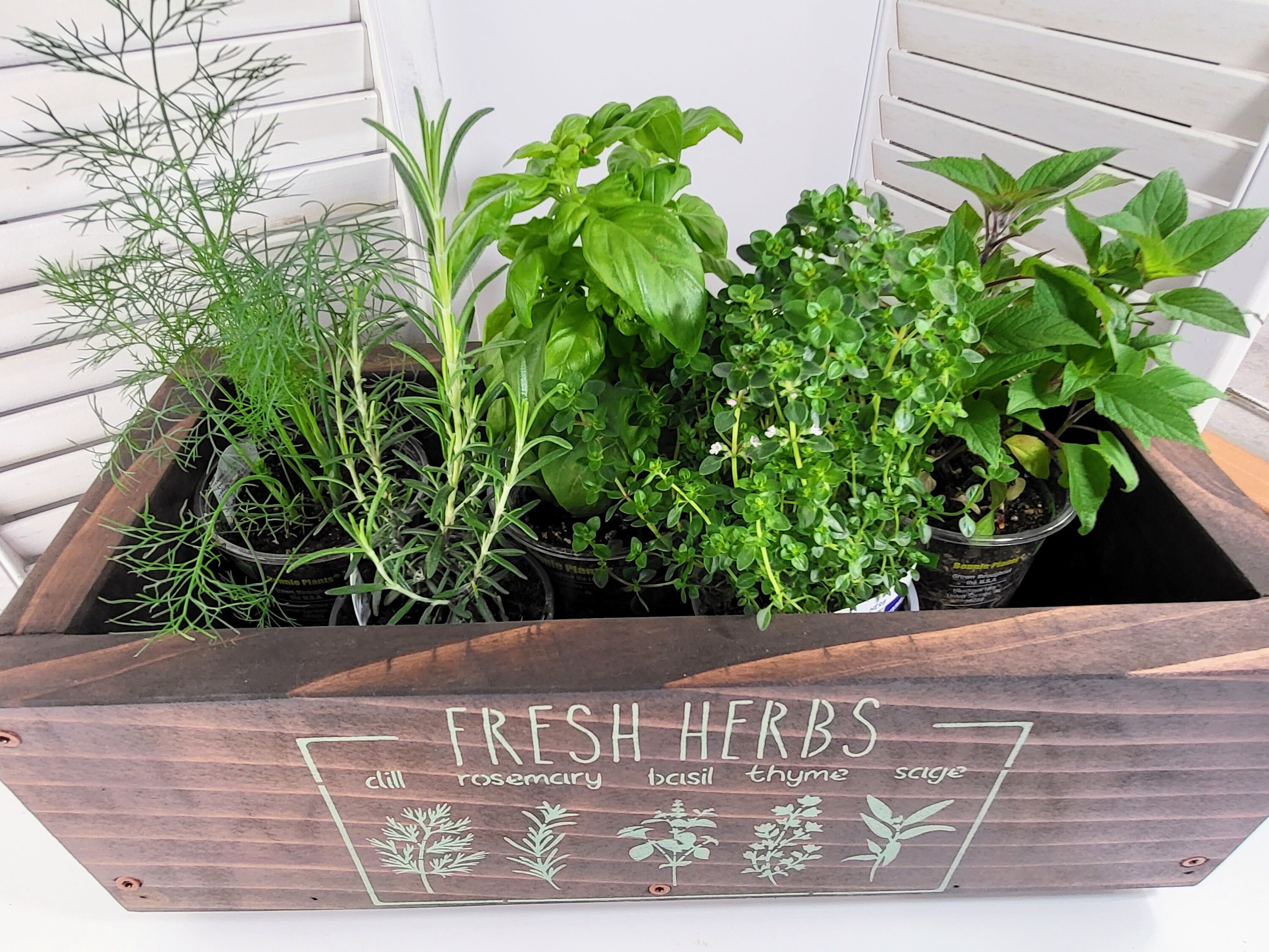 Wood Planter Box/ Herb Garden/ Sequoia Herb Box/ fresh - Etsy