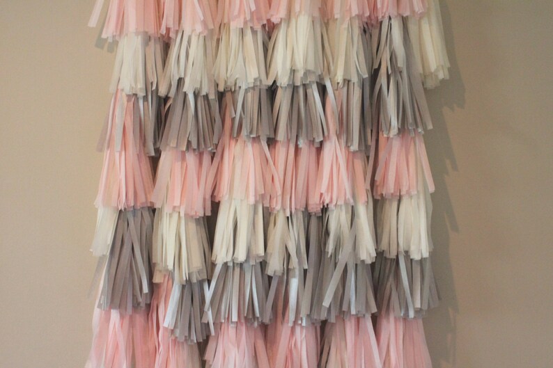 Tissue Paper Tassel Photo Backdrop // Blush Pink Silver - Etsy