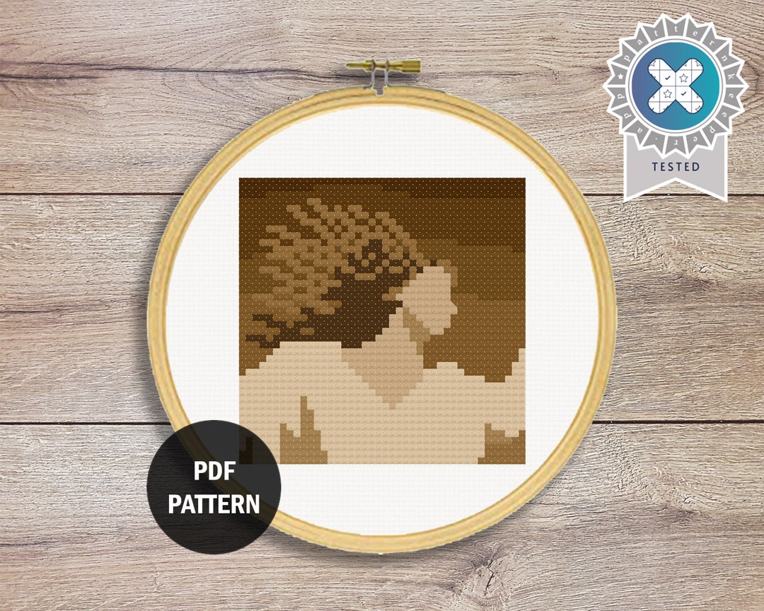 Fearless TV Album Cover Cross Stitch Pattern Taylor Swift - Etsy