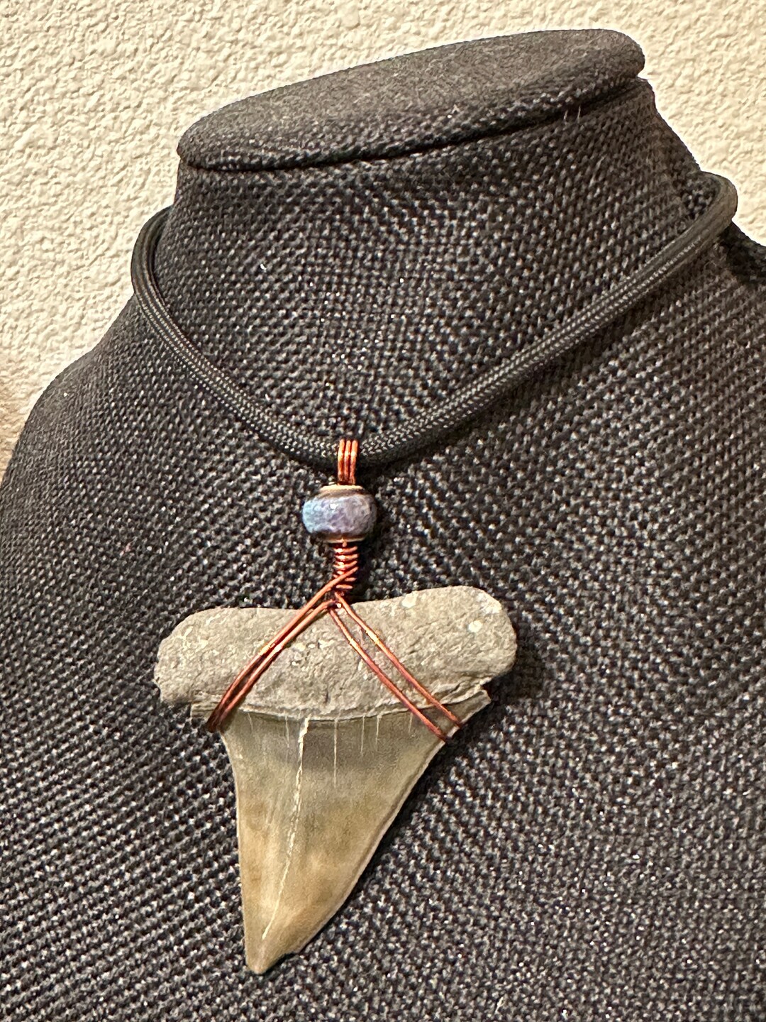 Extinct Lesser White Shark Tooth Necklace: Custom Adjustable 550 ...