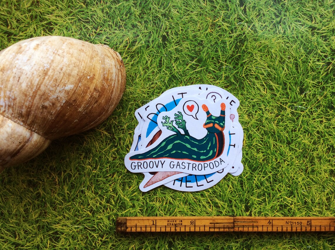 Snail Gastropod Sticker Set - Etsy