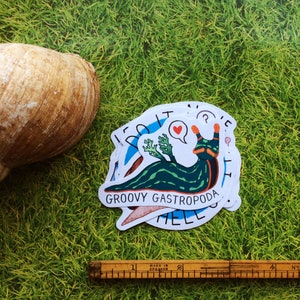 Snail Gastropod Sticker Set - Etsy