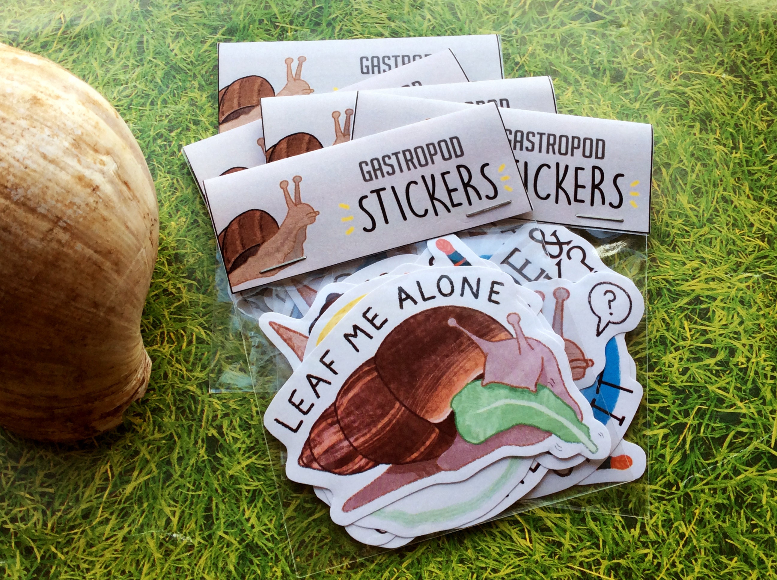 Snail Gastropod Sticker Set - Etsy