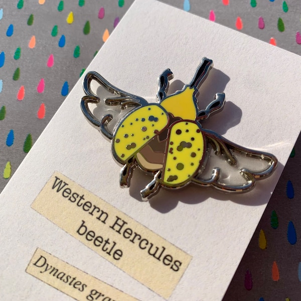 Hercules Beetle - Etsy