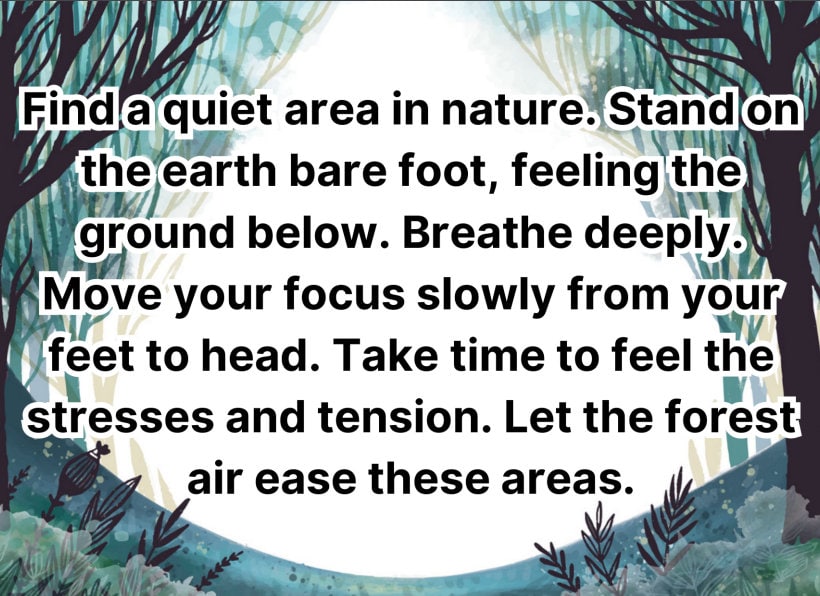 Shinrin-yoku - Forest Bathing - Woods - Therapeutic Woodland Activity ...