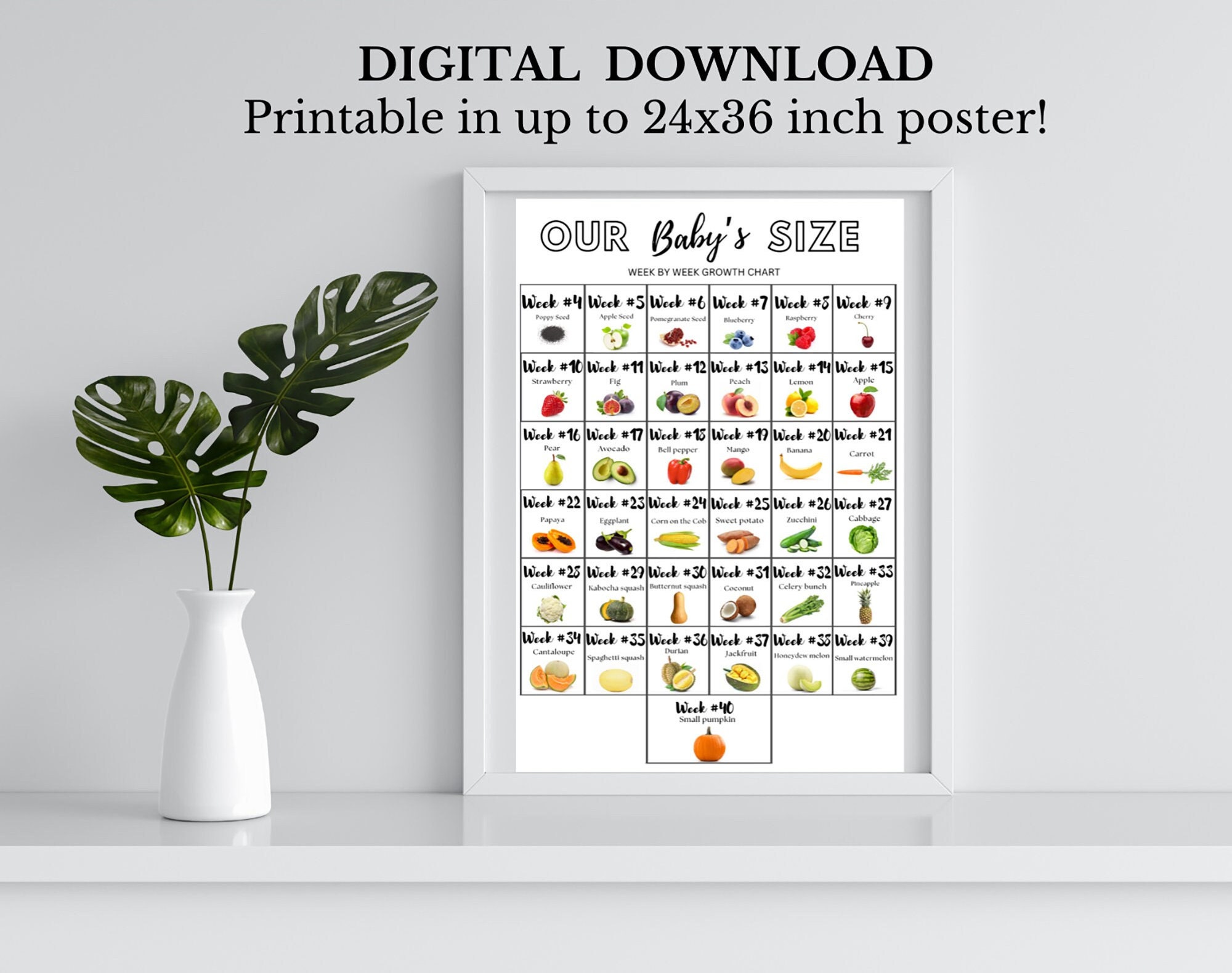 Baby Size Chart | Pregnancy Milestones Chart | What Size is My Baby ...