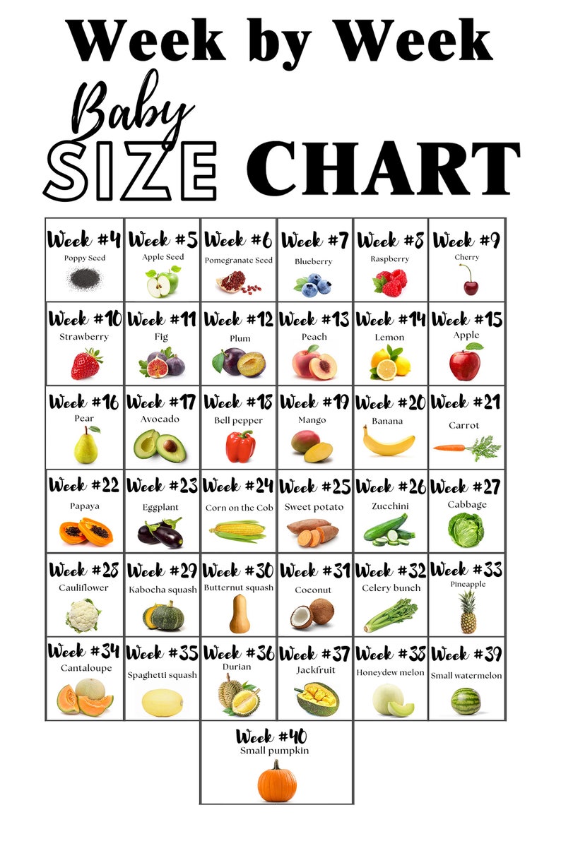 Baby Size Chart | Pregnancy Milestones Chart | What Size is My Baby ...