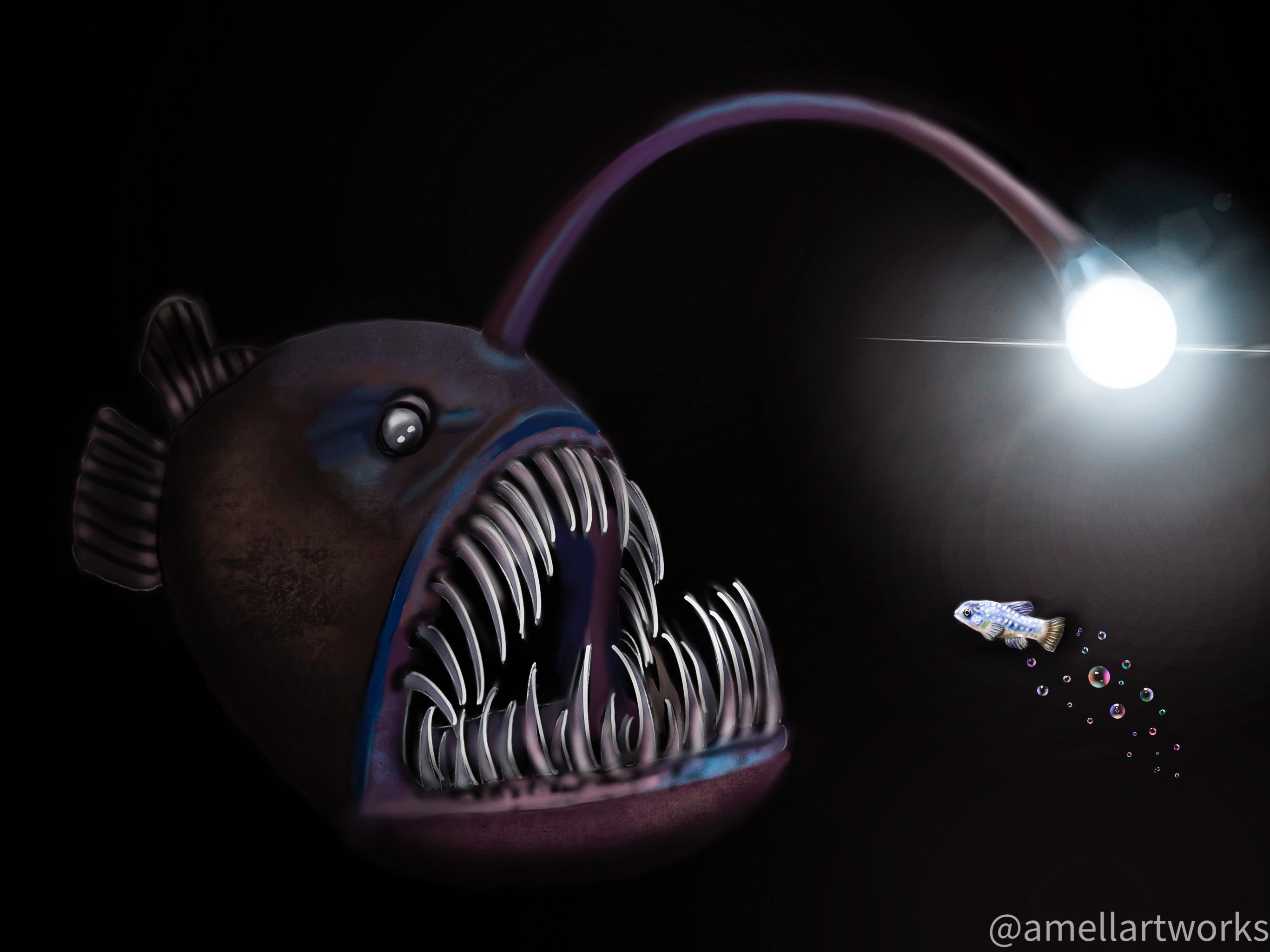 Angler Fish 4x6 or 8x10 Art Print - Etsy