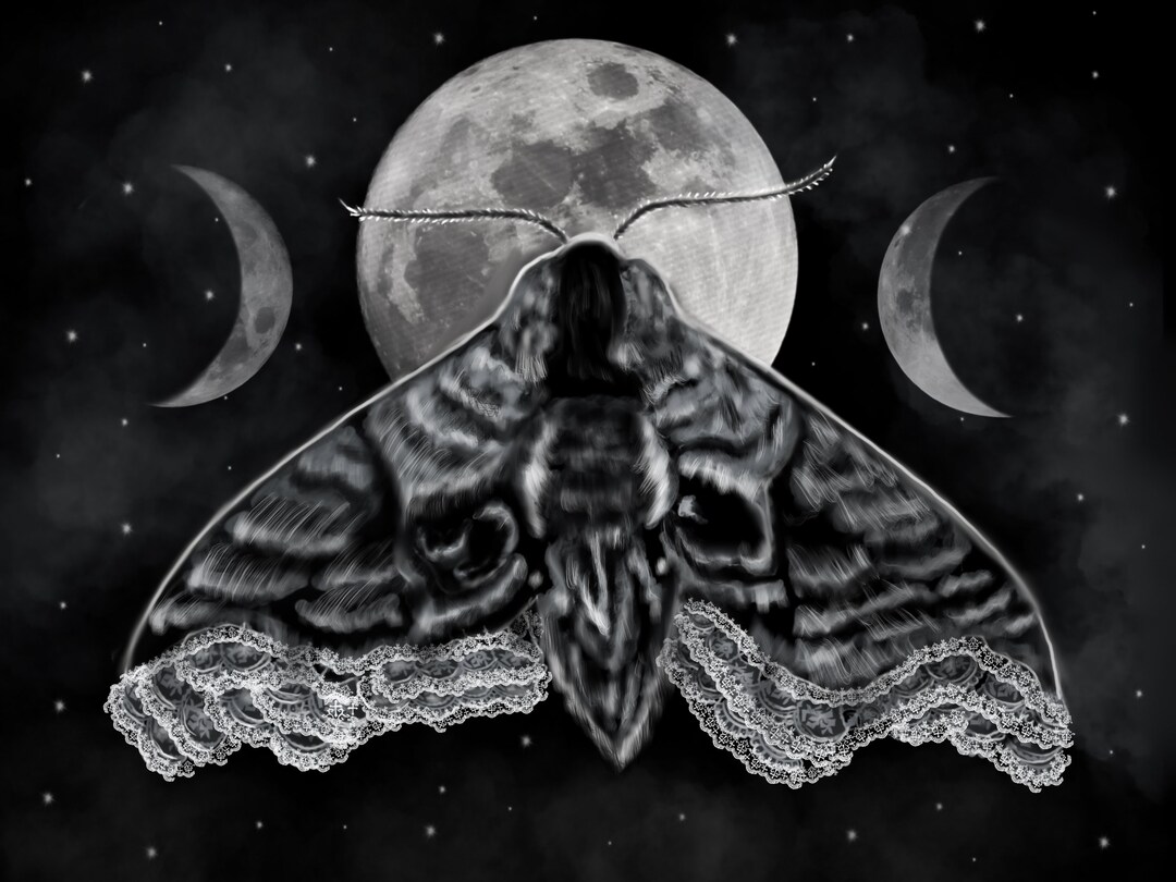 Lunar Moth 4x6 or 8x10 Art Print - Etsy