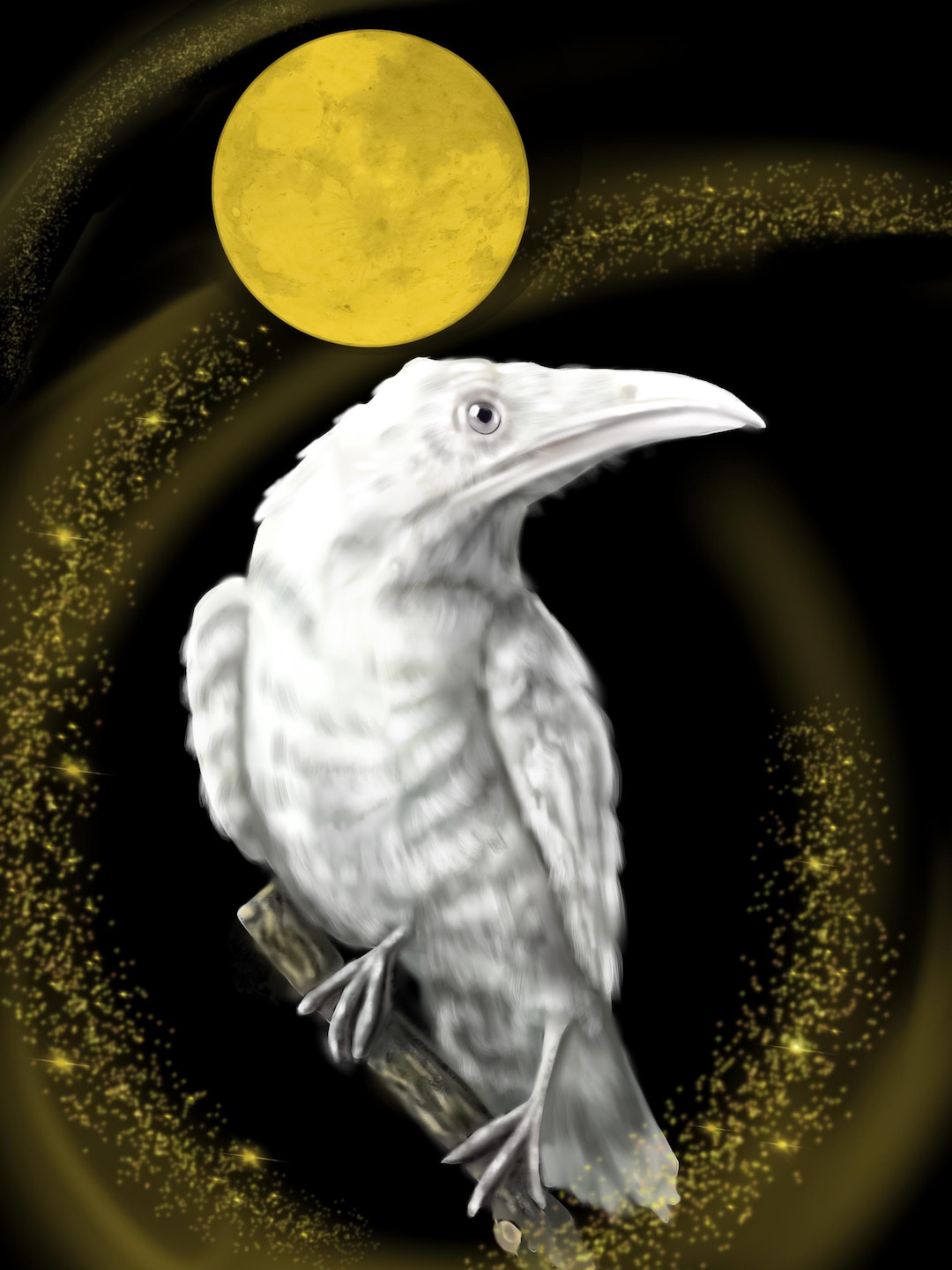 White Raven 4x6 or 8x10 Art Print - Etsy