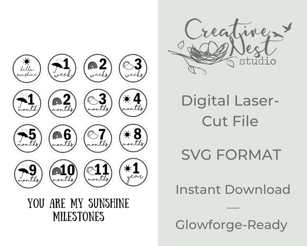Digital File SVG Laser Cut File Monthly Milestone Mom Gift Baby Monthly ...