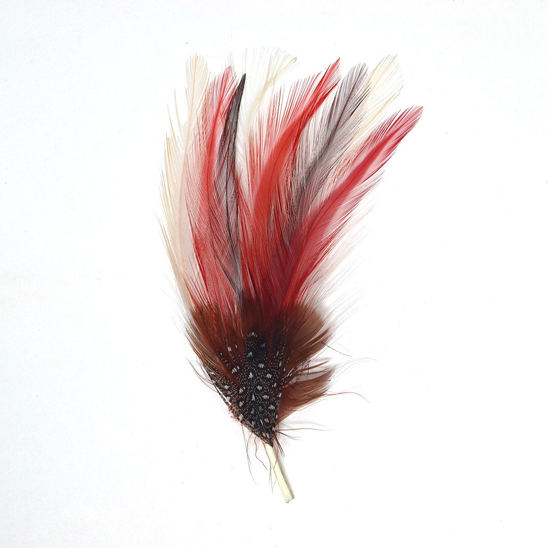 3 to 4" Long Feather Cluster Trim for Various Style Hats, Fedora ...