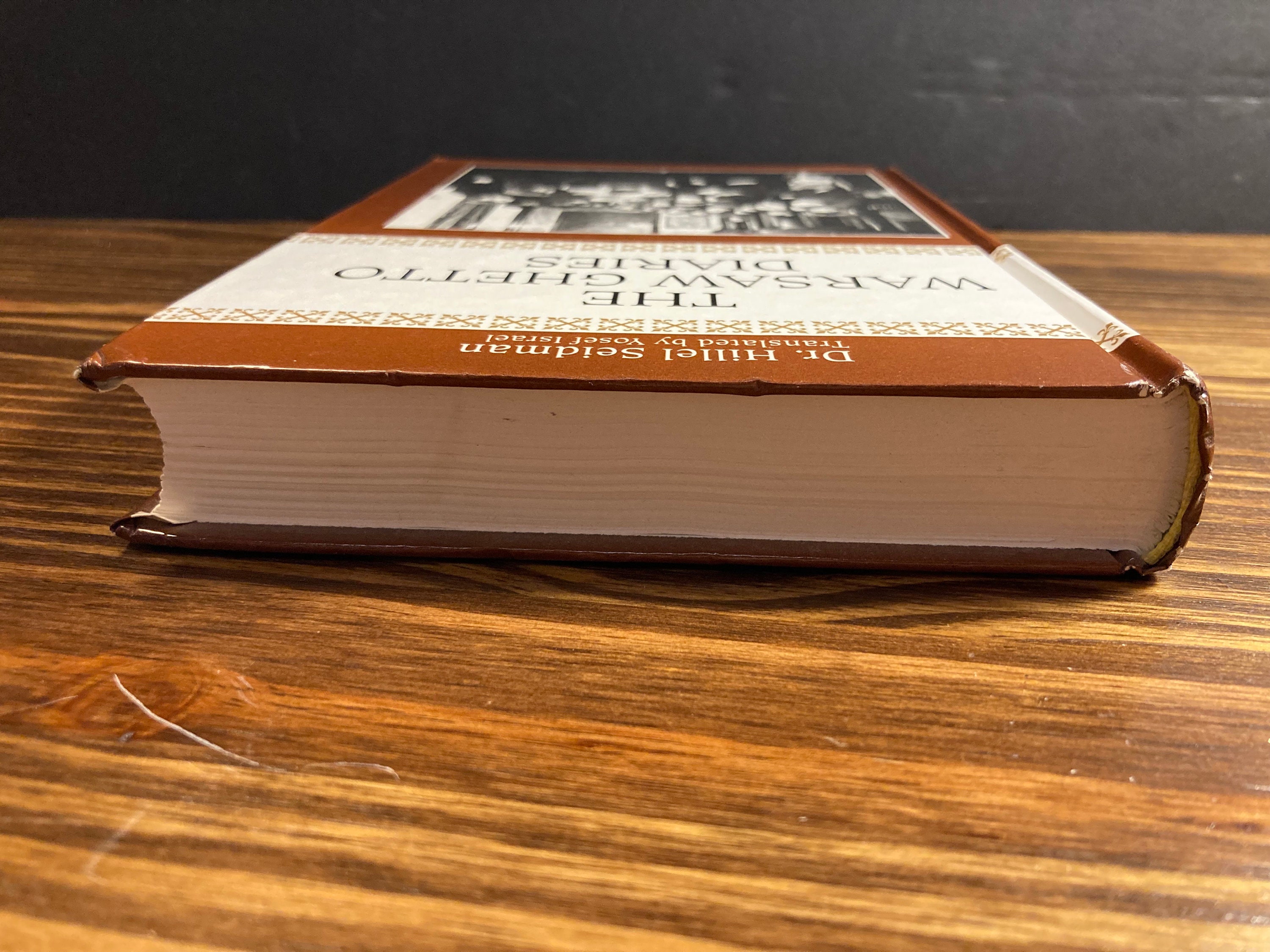 The Warsaw Ghetto Diaries by Dr. Hillel Siedman Vintage - Etsy