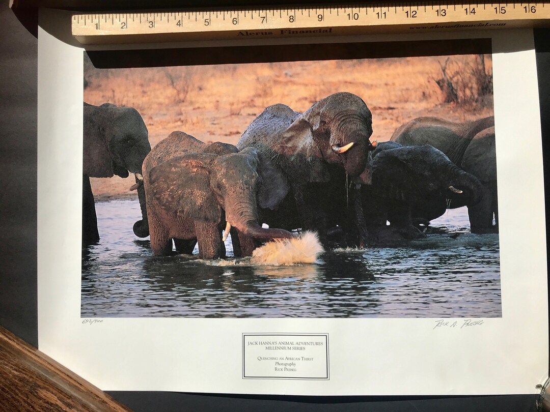 Jack Hanna Animal Adventure Quenching an African Thirst de Rick Prebeg ...