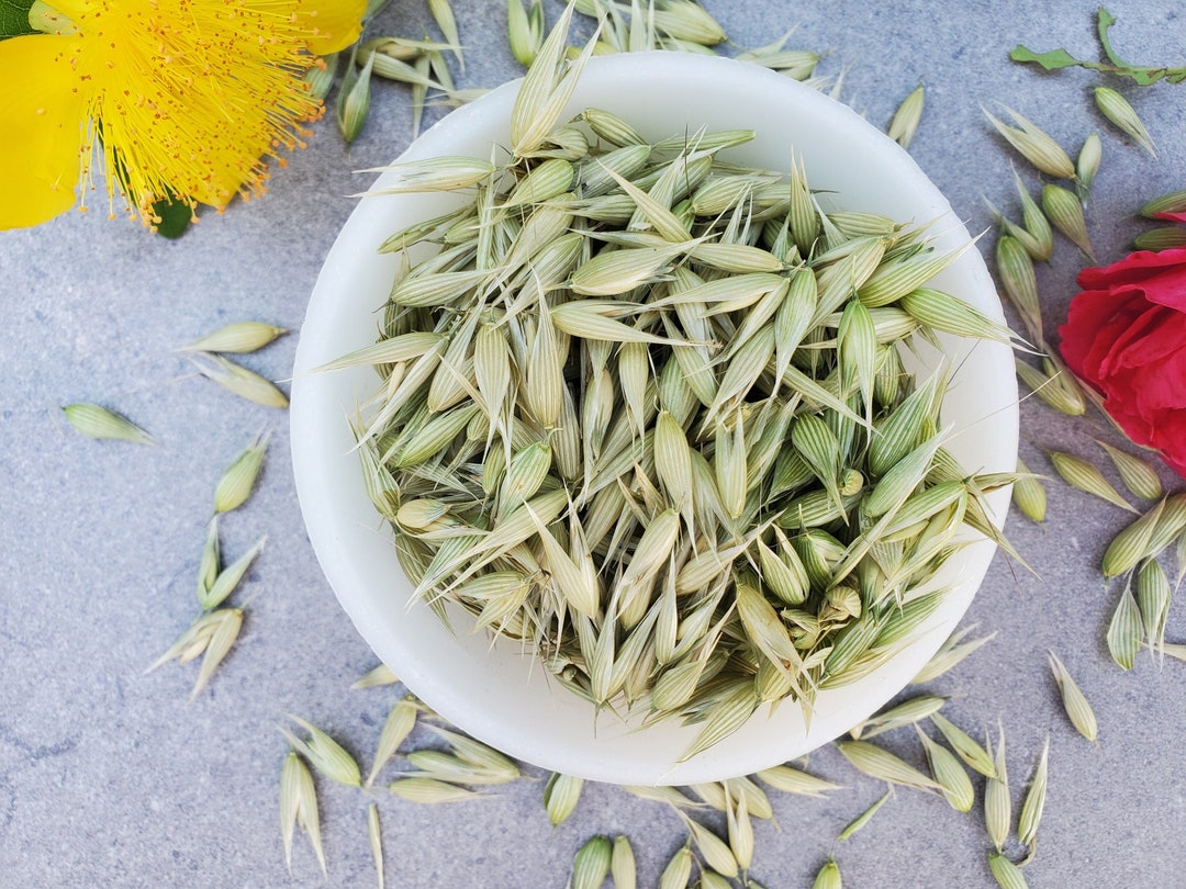 Milky Oat Tops Two Ounces Harvested in USA Dried Whole Avena Sativa ...