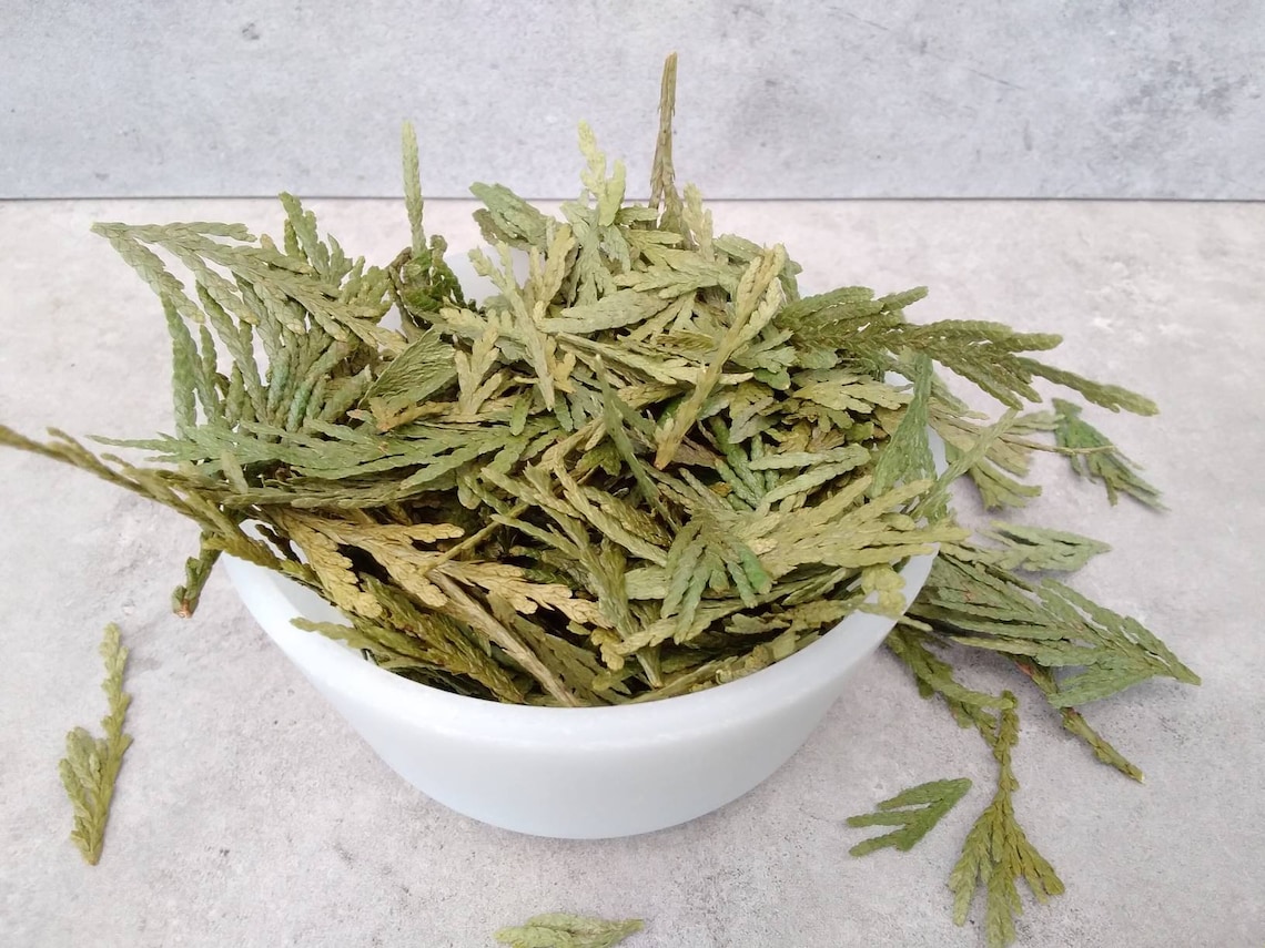 Dried Red Cedar Organically Grown Infused Oils Crafts | Etsy