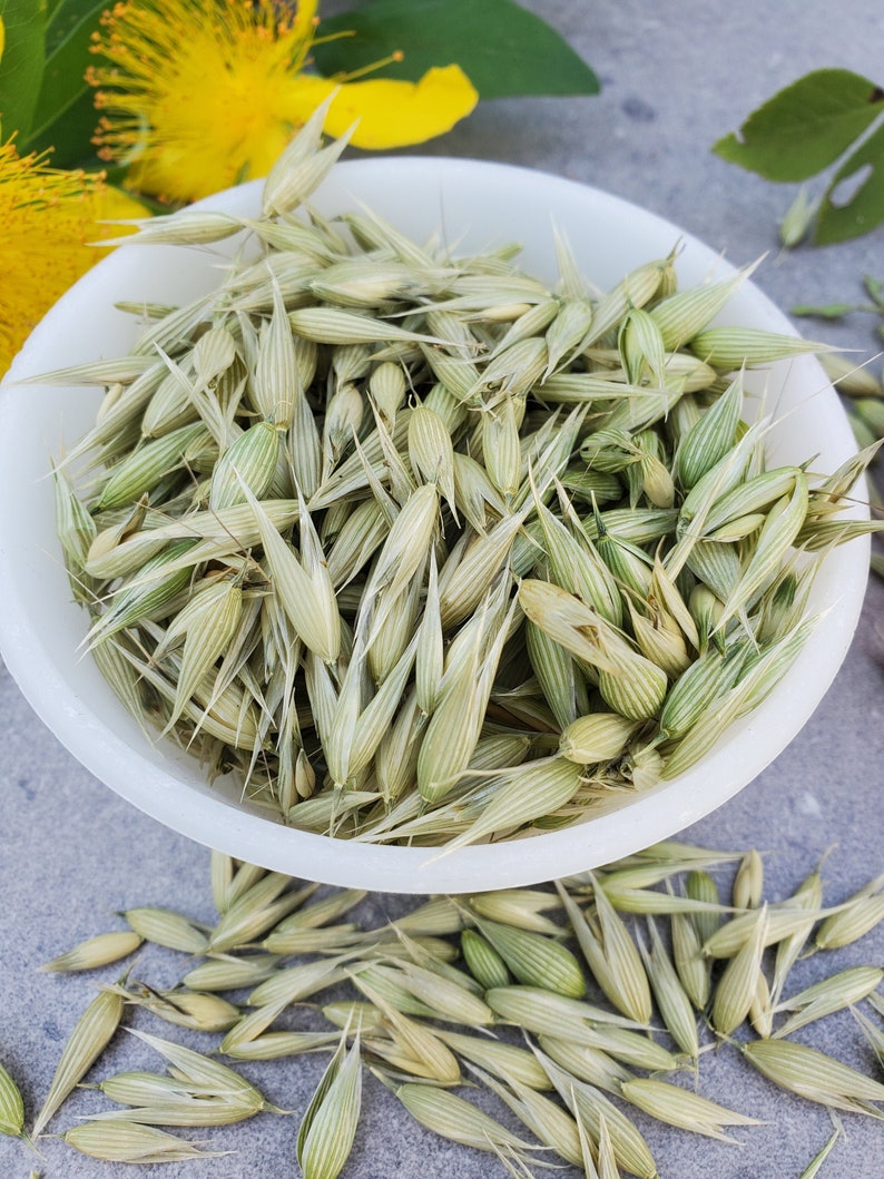 Milky Oat Tops Harvested In USA Organically Grown Whole | Etsy