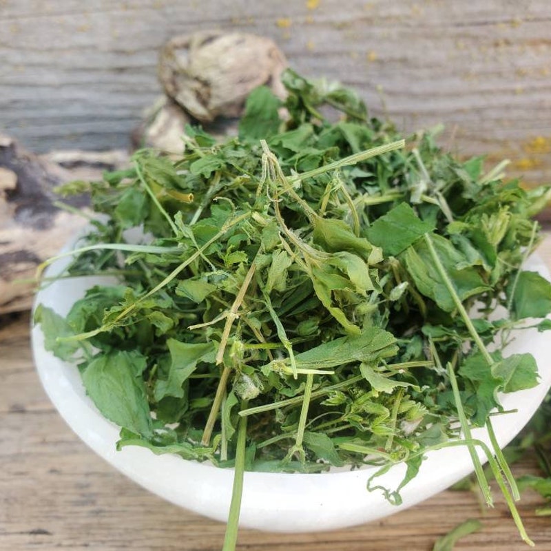 InspireHealthy - Etsy