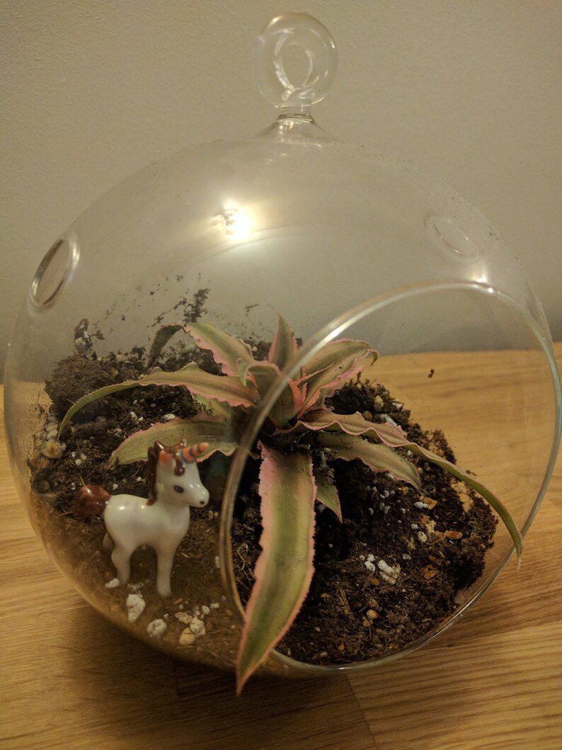 Miniature Unicorn Tiny Unicorn Ceramic Porcelain Figurine | Etsy