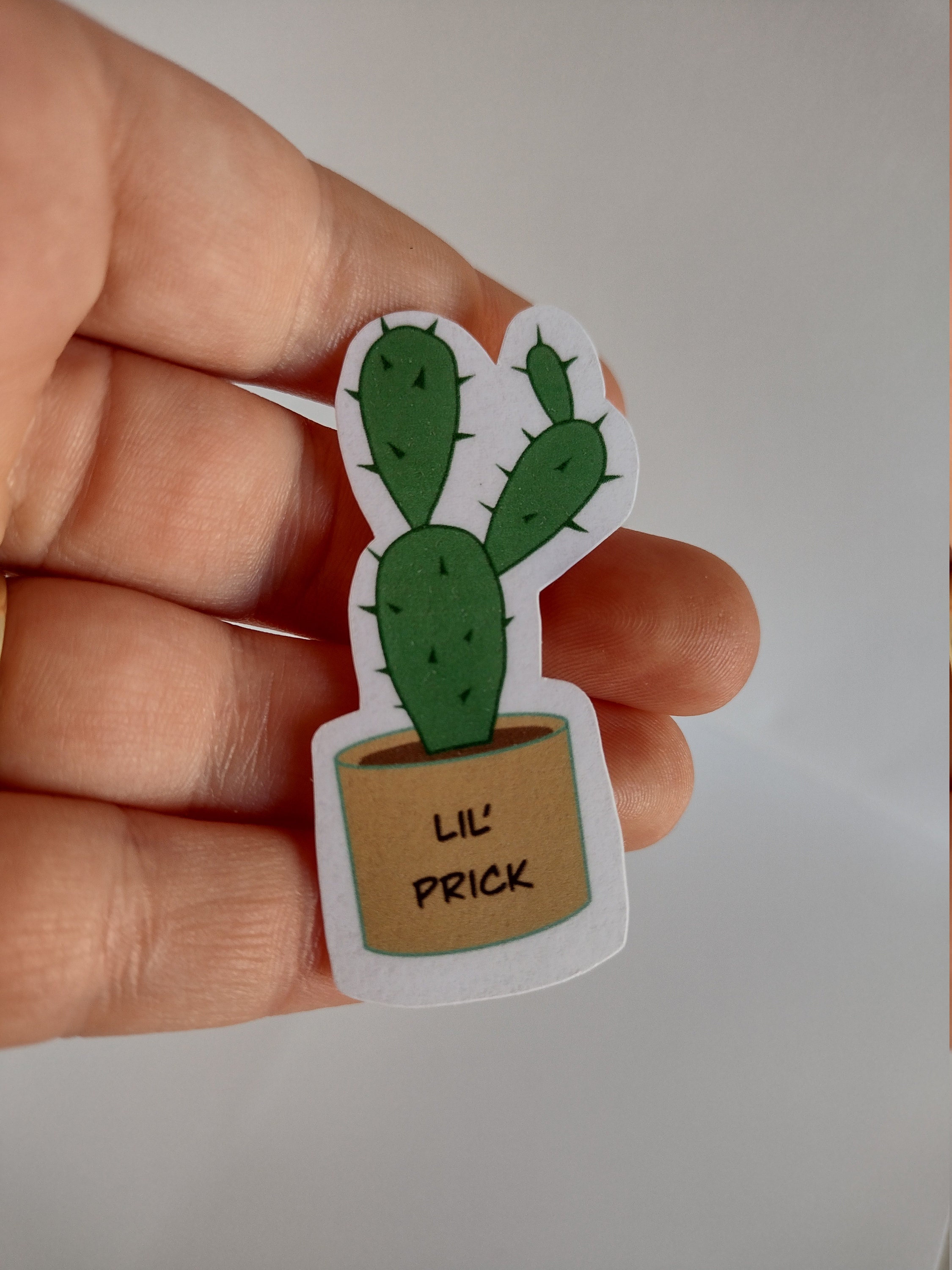 Stickers lil prick sticker funny sticker Little prick cactus sticker plant mom plant sticker ...