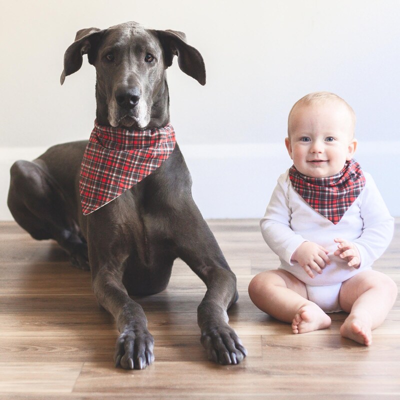 Matching Dog Baby - Etsy