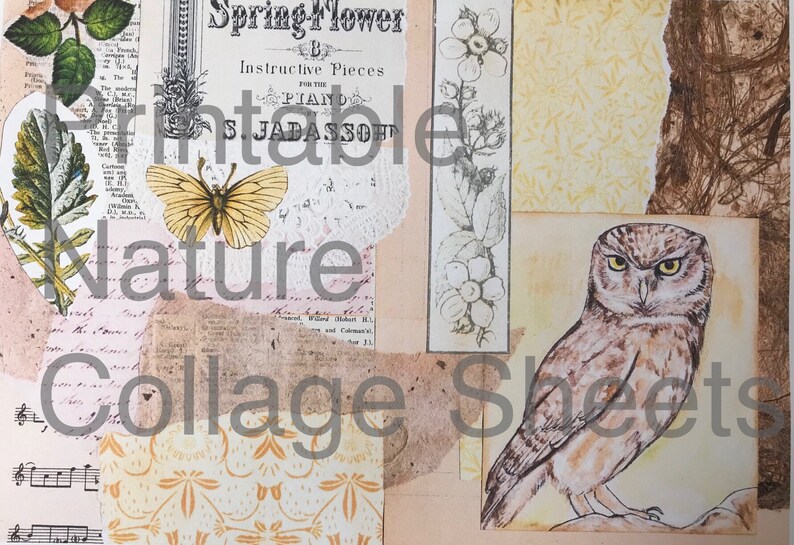Printable Nature Collage Sheets - Etsy