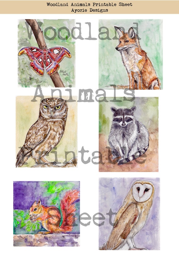 Woodland Animals Printable Sheet | Etsy