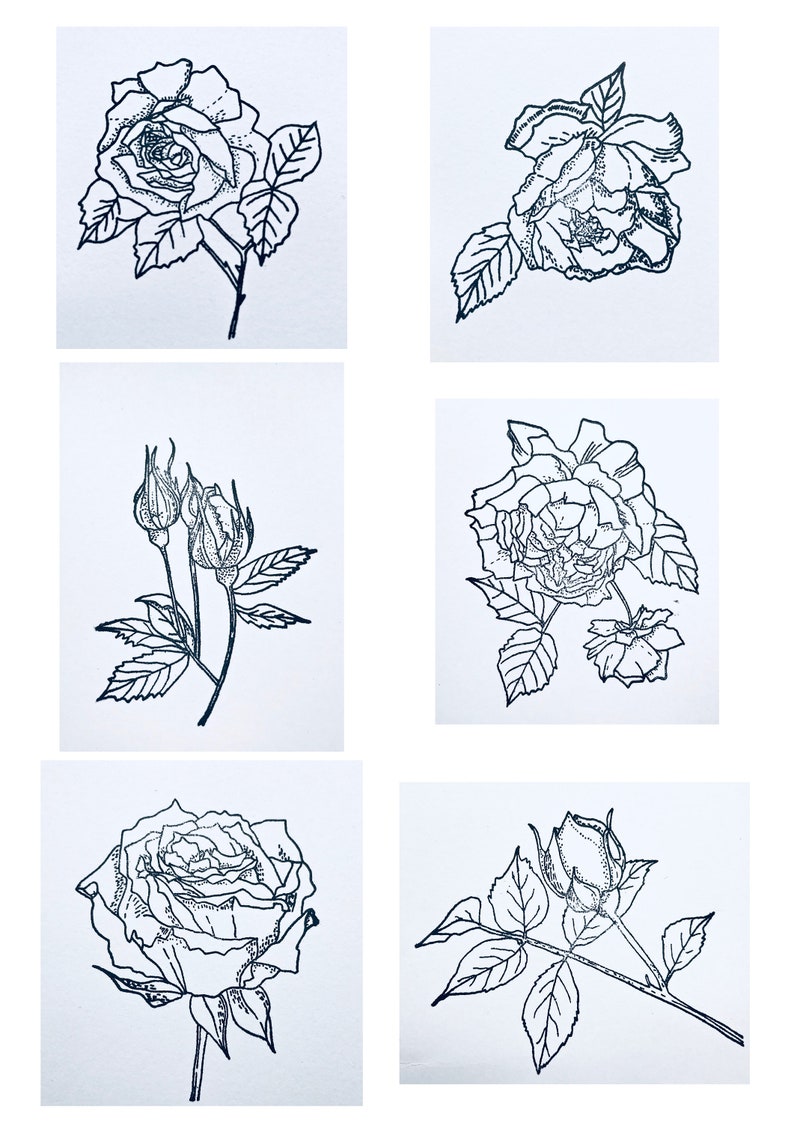 Rose Garden Stamp Set - Etsy