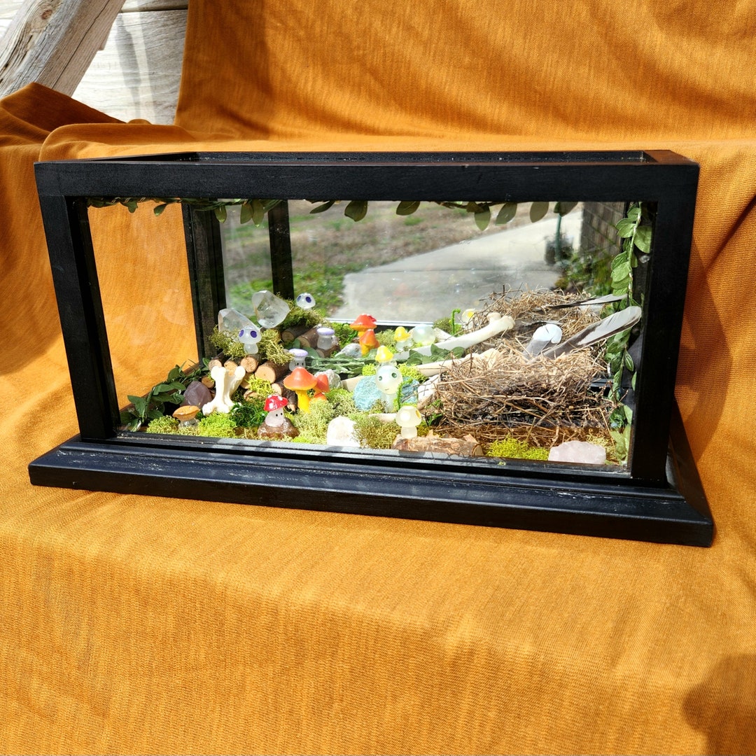 Forest Theme Terrarium - Etsy