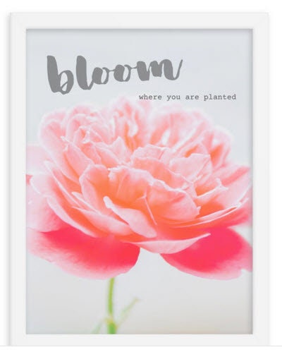 Printable Wall Art, Flower Poster, Home and Office Decor, Inspirational ...