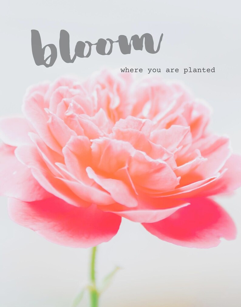 Printable Wall Art, Flower Poster, Home and Office Decor, Inspirational ...