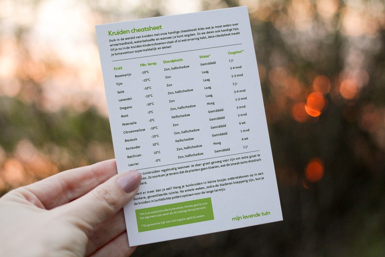 Garden Herbs Cheat Sheet A4 Dutch - Etsy