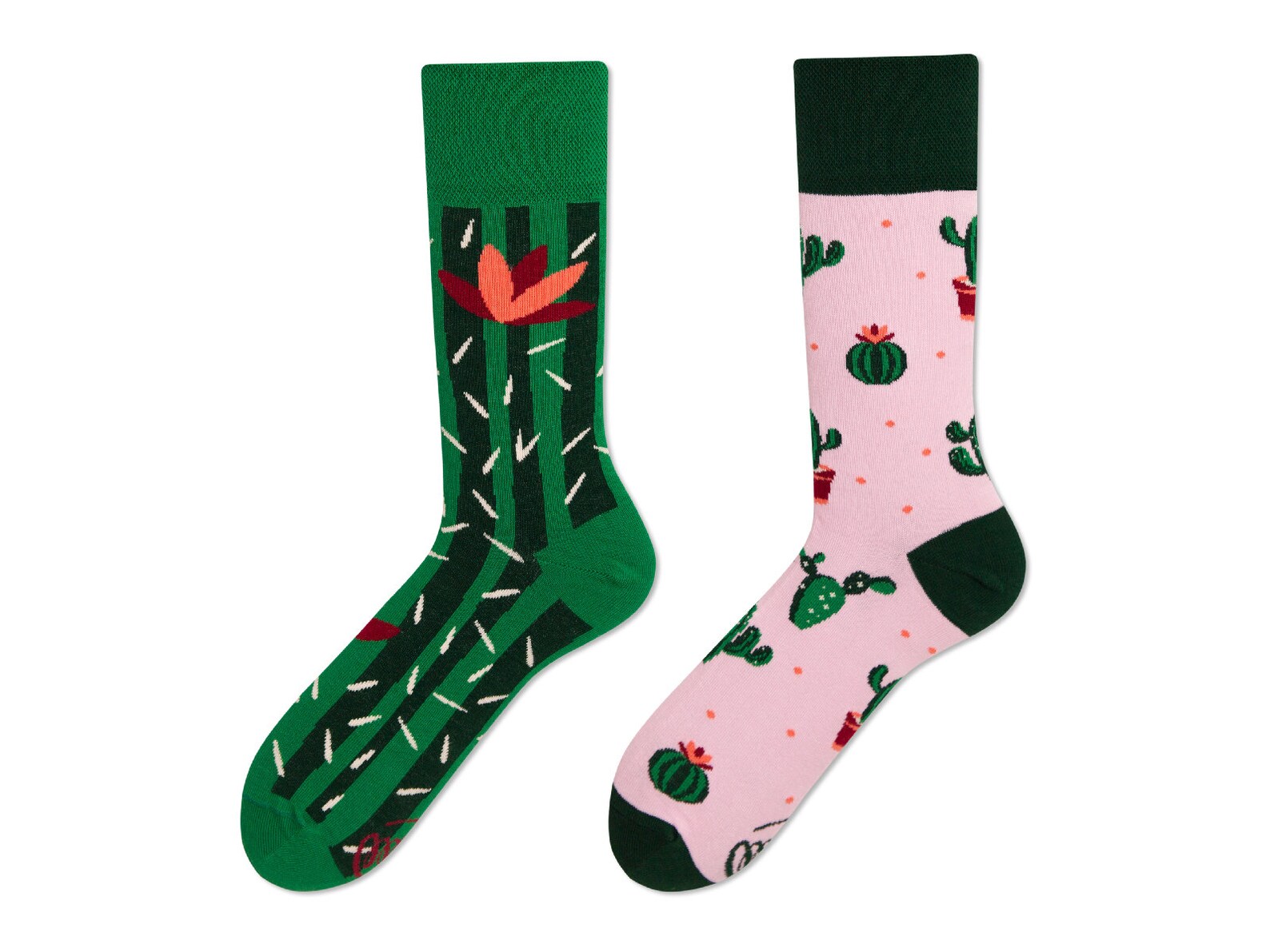 Cactus Socks From MANY MORNINGS Women's Socks Men's - Etsy