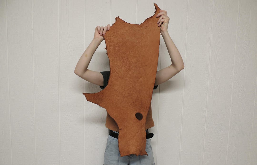 9-11 Oz. Buffalo Bison Leather Hide for Native American SCA Crafts ...
