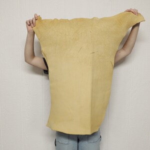 7-8 Oz. Buffalo Bison Leather Hide for Native American SCA Crafts ...