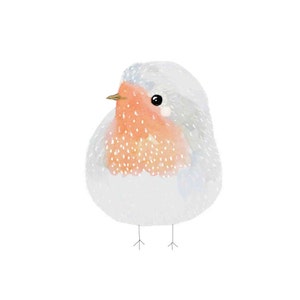 Robin Card Stationary Cute Bird Garden Valentines Card Birthday ...