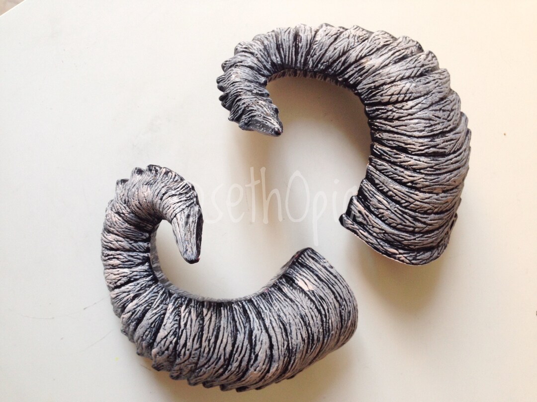Pair of Natural Beige Horns With Black Border - Etsy