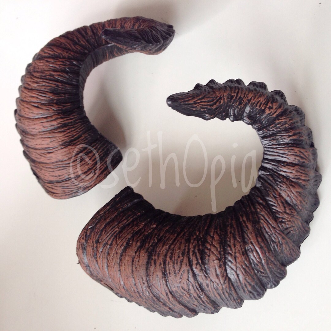 Paire de cornes marron bordées de noir - Etsy France