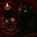 Pet Bonding Ritual Spell, Strengthen Emotional Connection With Your Pet ...