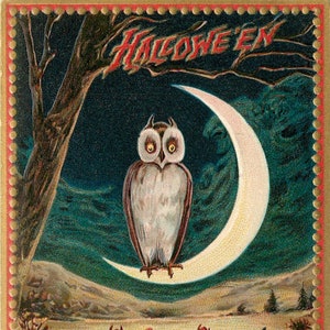 Quarter Moon, Owl Moon, Halloween Moon, Halloween Owl, Moon Owl, Owl ...