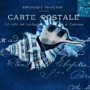 Seashell Drawing, Drawing Seashell, Blueprint Drawing, Drawing ...