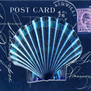 Seashell Drawing, Drawing Seashell, Blueprint Drawing, Drawing ...