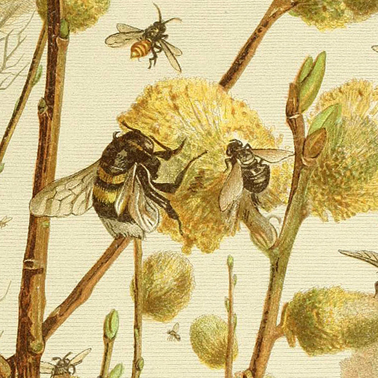 Honey Bee Bee Honey Bee Art Honey Bee Art Honey Art Art - Etsy