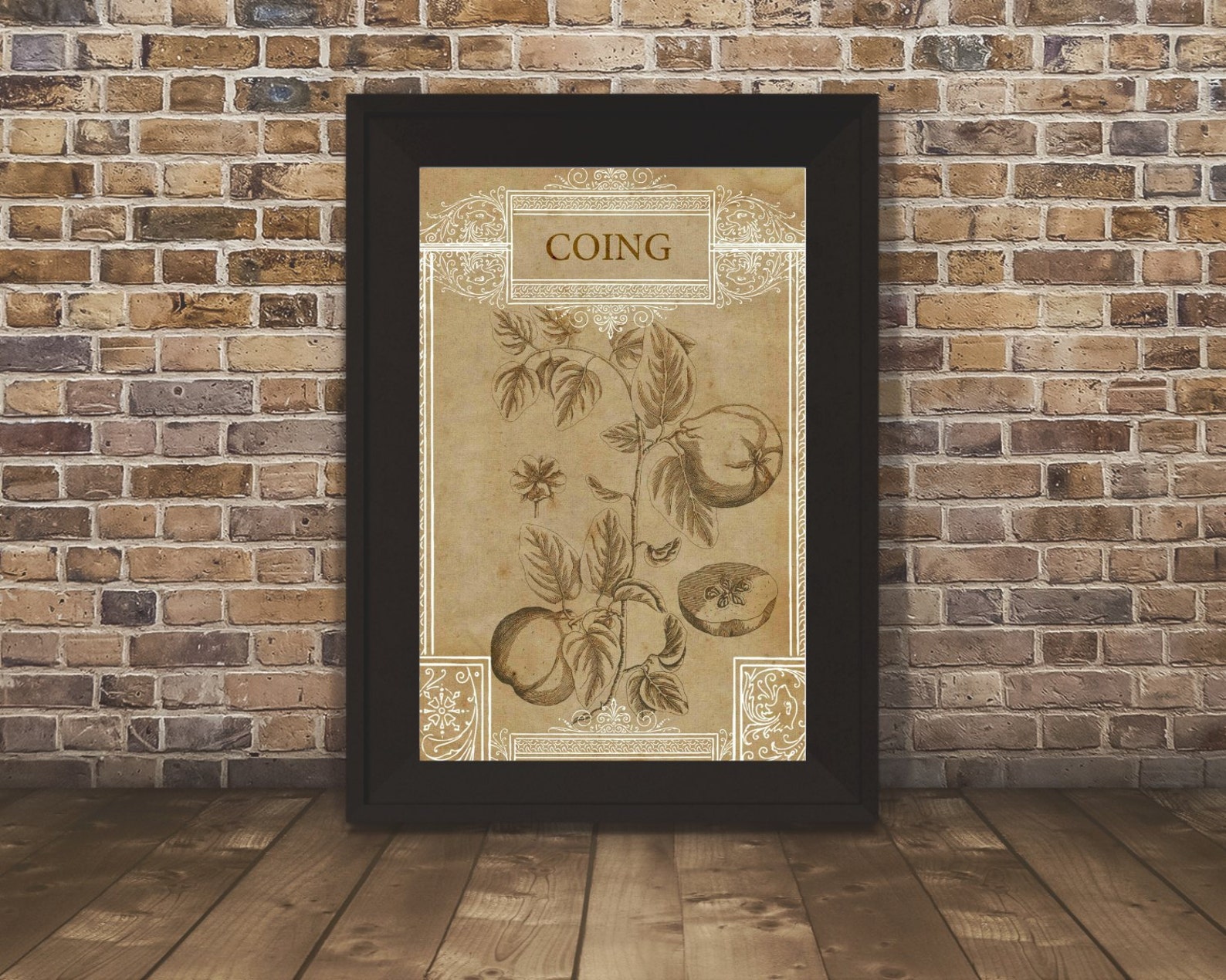 Quince French Quince Vintage Botanical Art Quince Art - Etsy