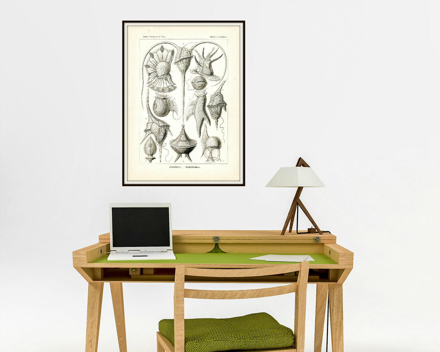 Plankton Drawing Marine Science Marine Plankton Drawing | Etsy